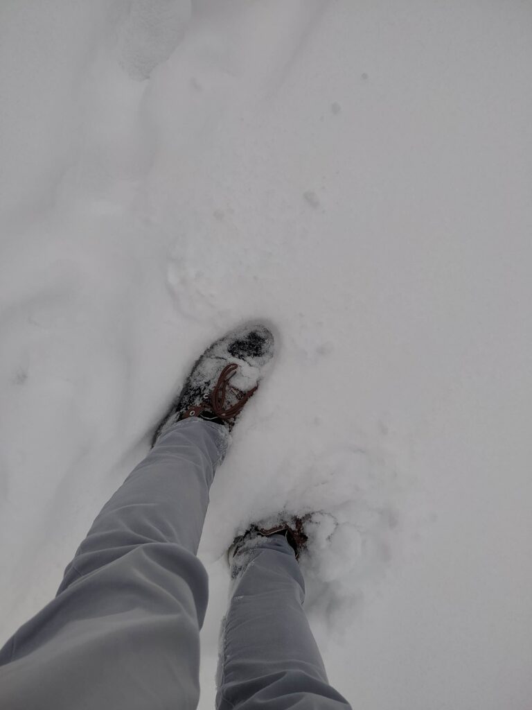 The 4 seasons in Poland - Impact Teaching