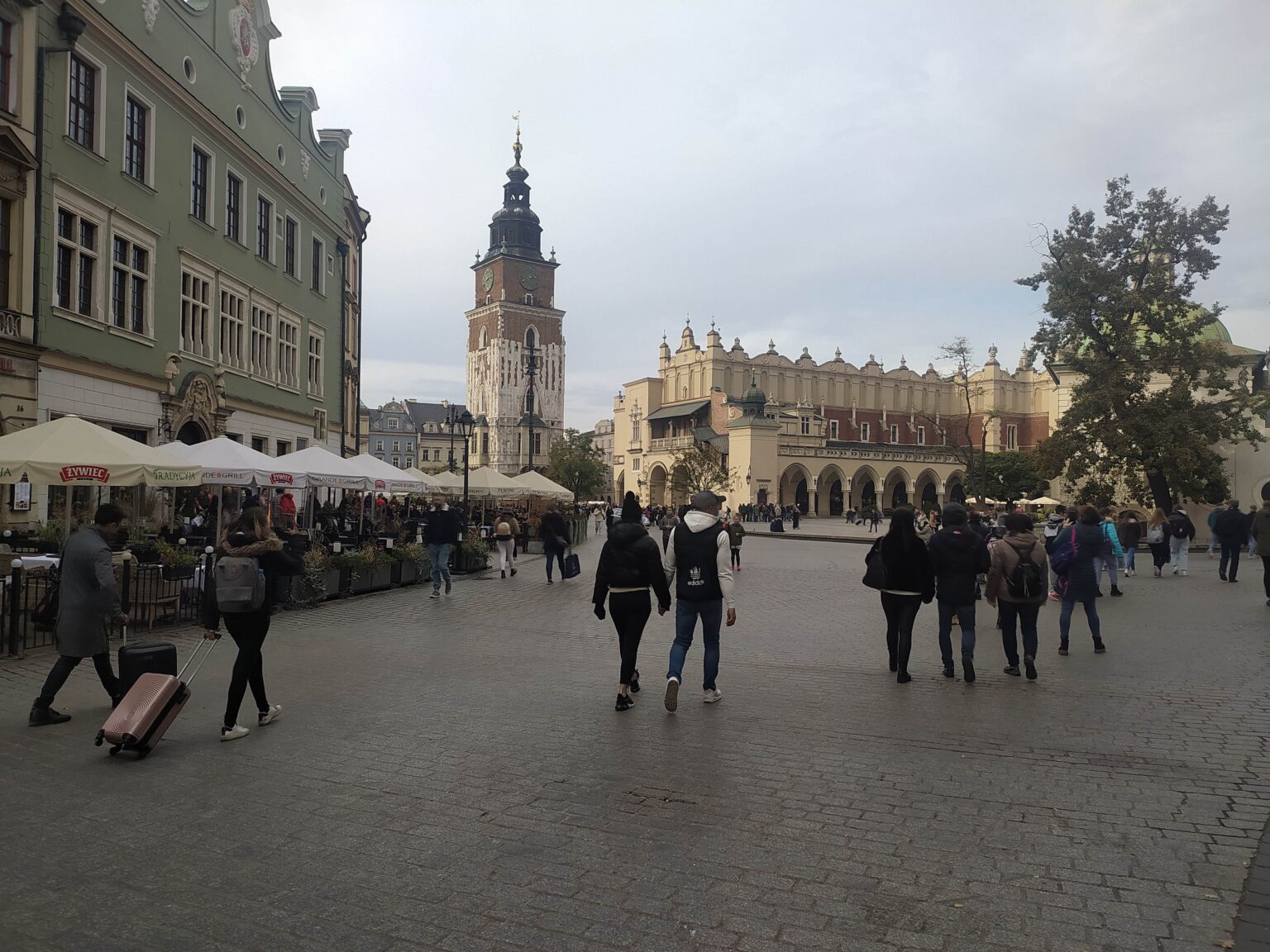 Delivering an effective and engaging lesson – The introduction - Impact ...