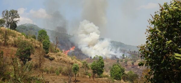 What is the Burning Season in Thailand? Impact Teaching